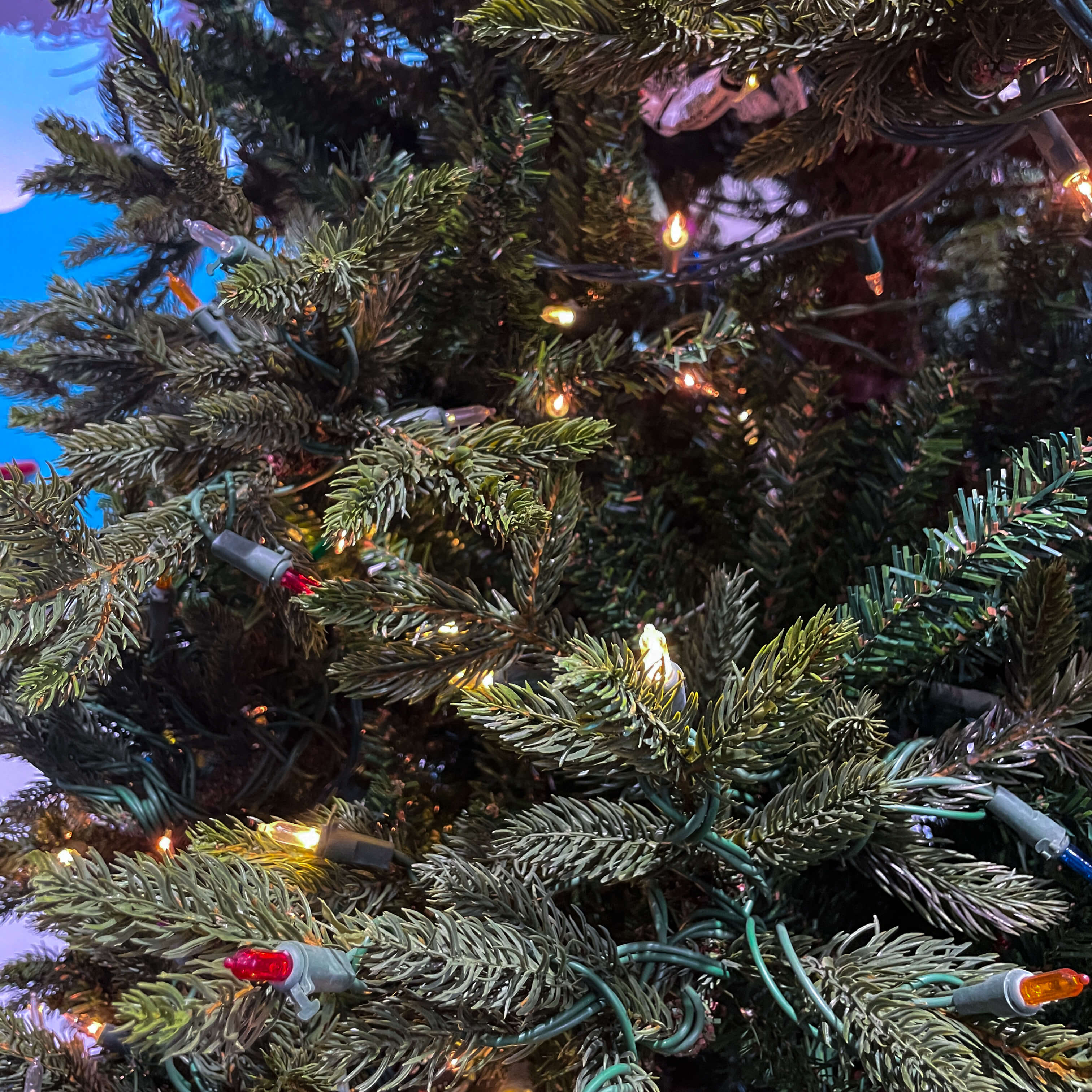 Mastering the Art of Christmas Tree Decorating: Tips & Tricks from ...